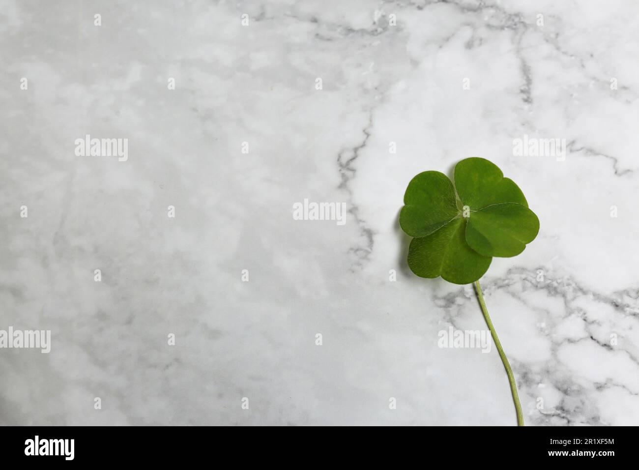 Beautiful green four leaf clover on white marble table, top view. Space ...