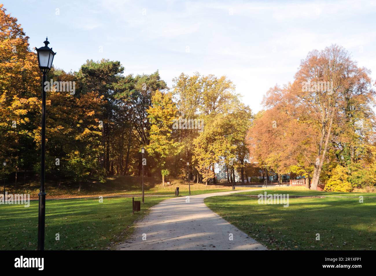 Picturesque view of park with beautiful trees and pathway on sunny day ...