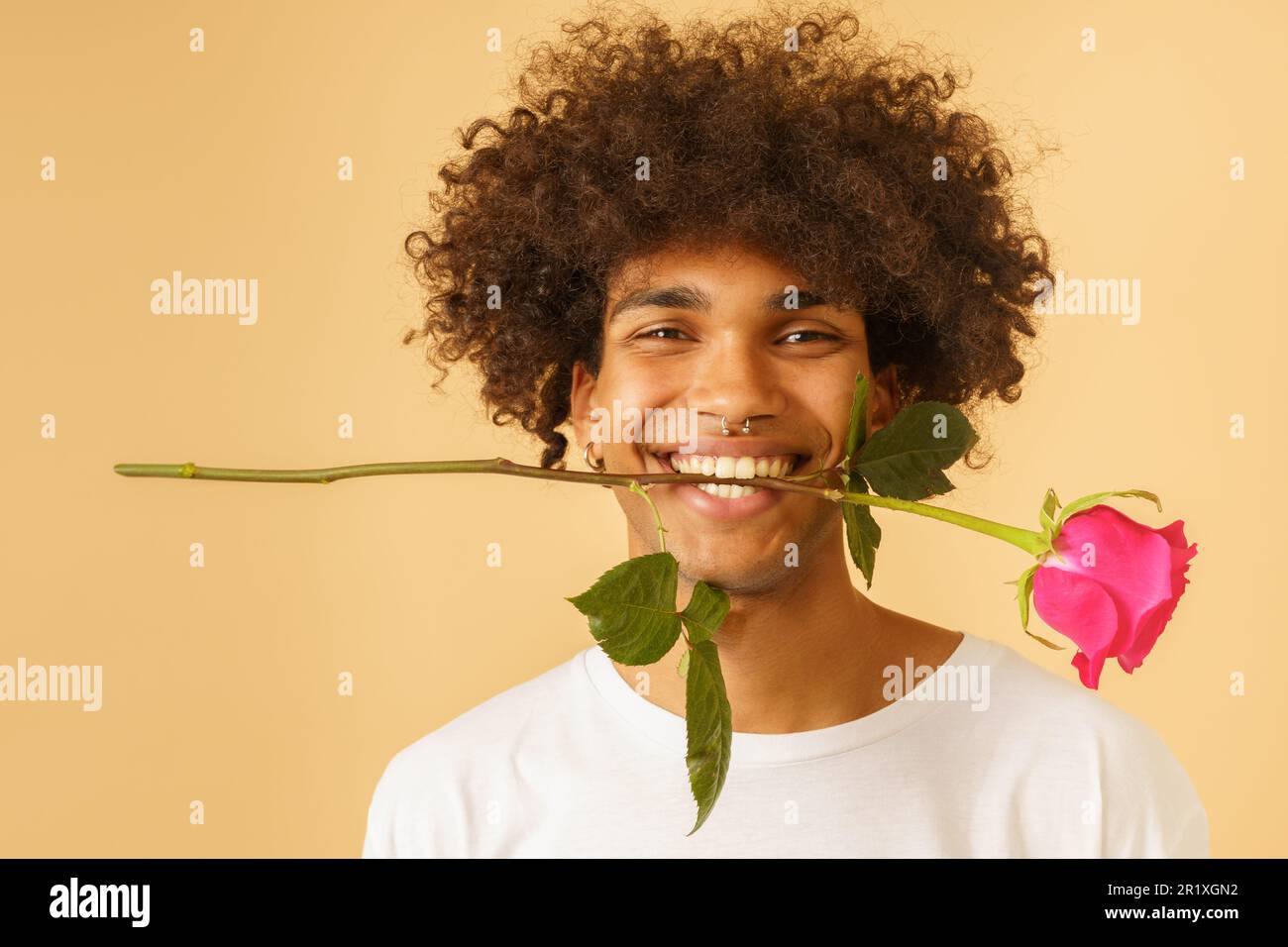 Happy romantic man with rose in mouth for valentine day Stock Photo - Alamy