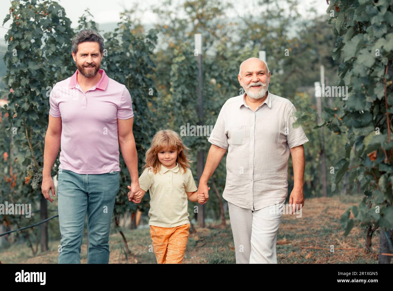 Male generation family together with three different generations ages ...