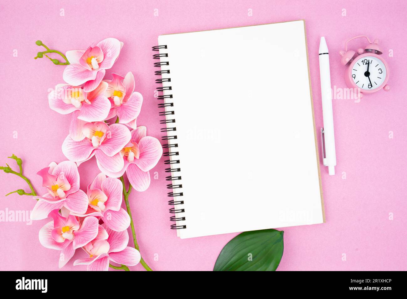 Blank open notebook and clock with pink color orchid for your text or message Stock Photo - Alamy