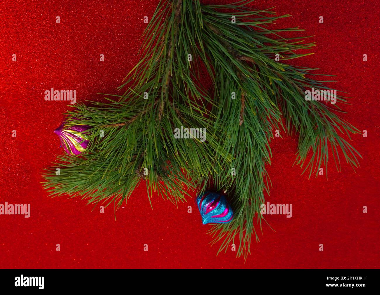 Christmas card on a red background Christmas tree sprig and balls Stock ...