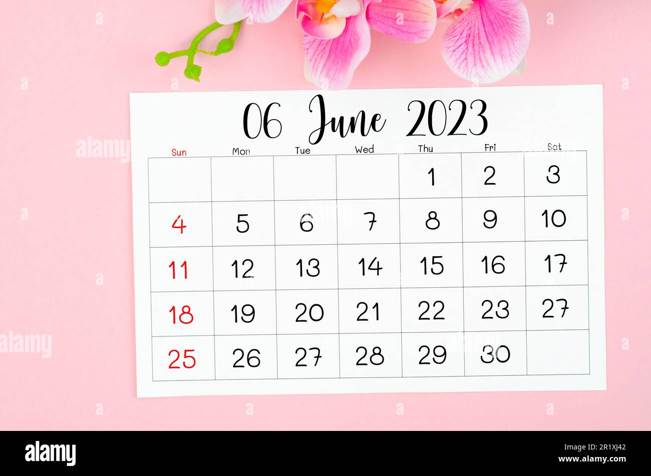 June 2023 calendar page and pink orchid on pink background Stock Photo ...