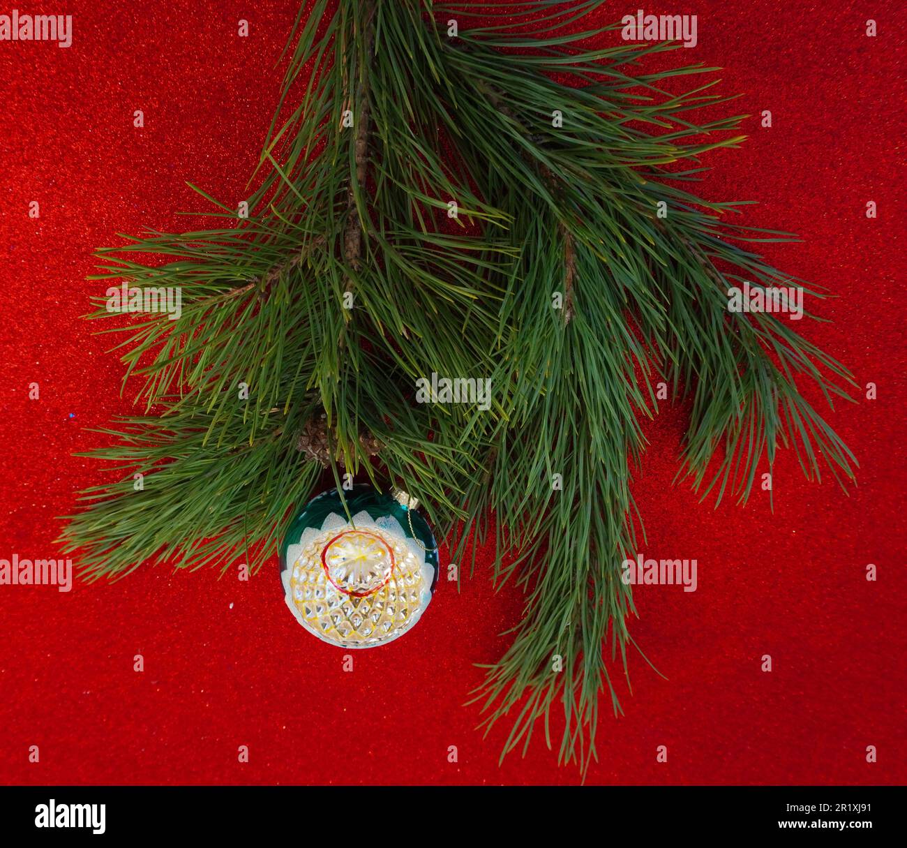 Christmas card on a red background Christmas tree sprig and balls Stock ...