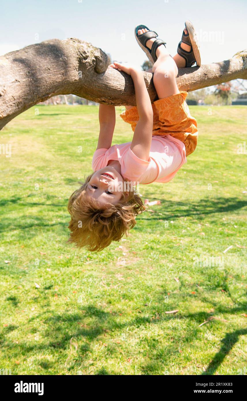 Child on a tree branch. Child climbing in adventure activity park ...