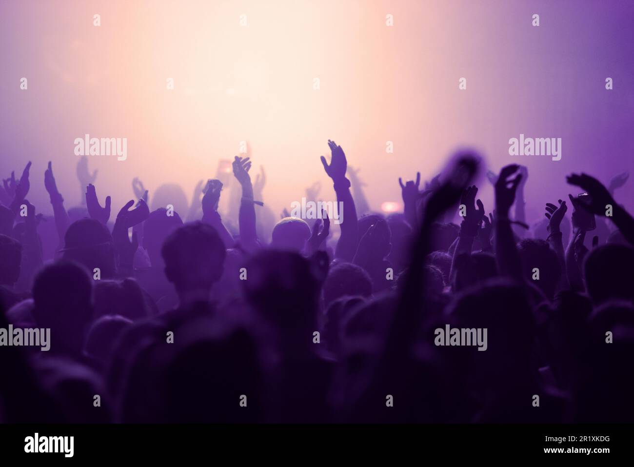 Crowd of people partying at live concert at music festival Stock Photo ...