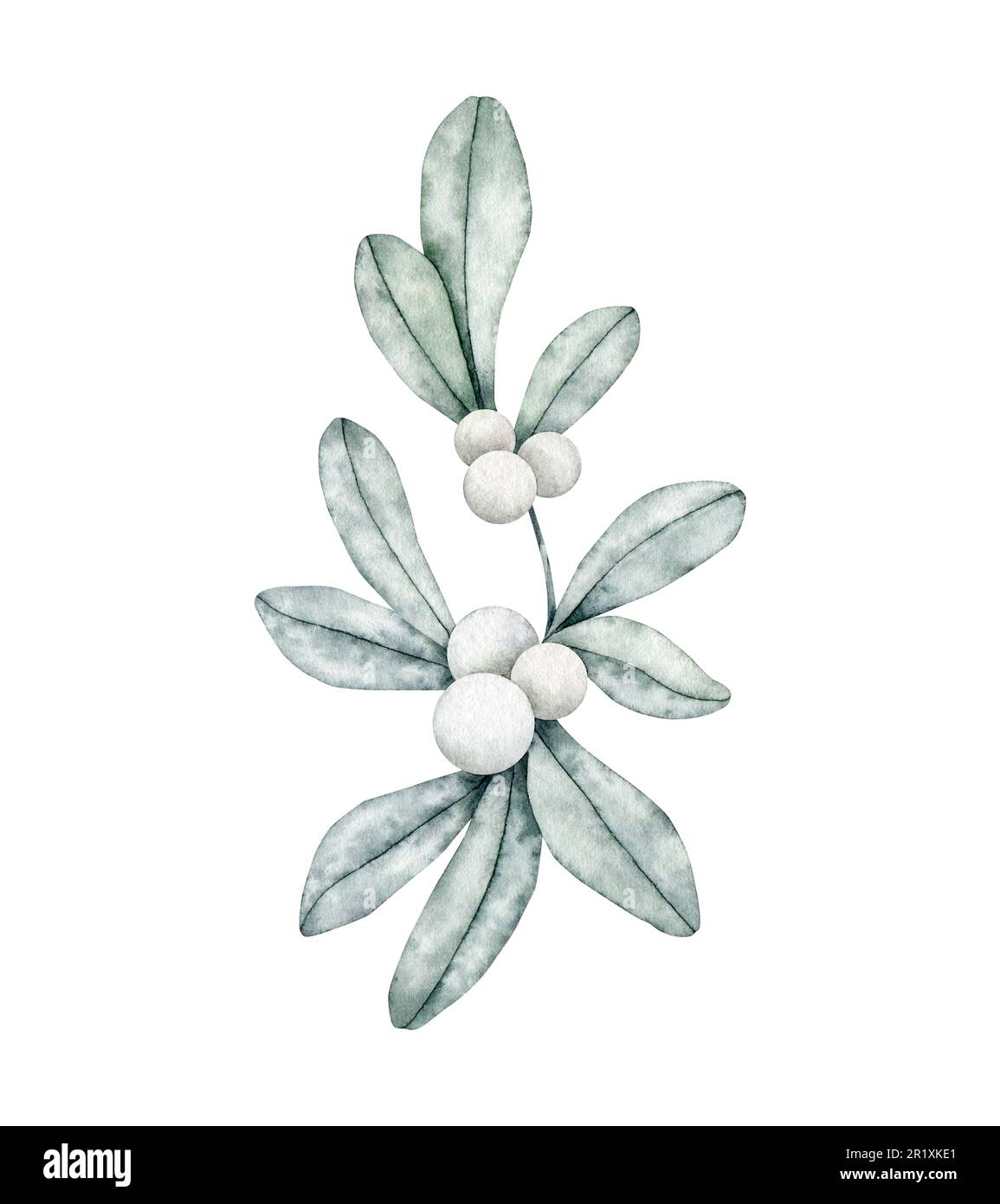 Ghostberry hi-res stock photography and images - Alamy