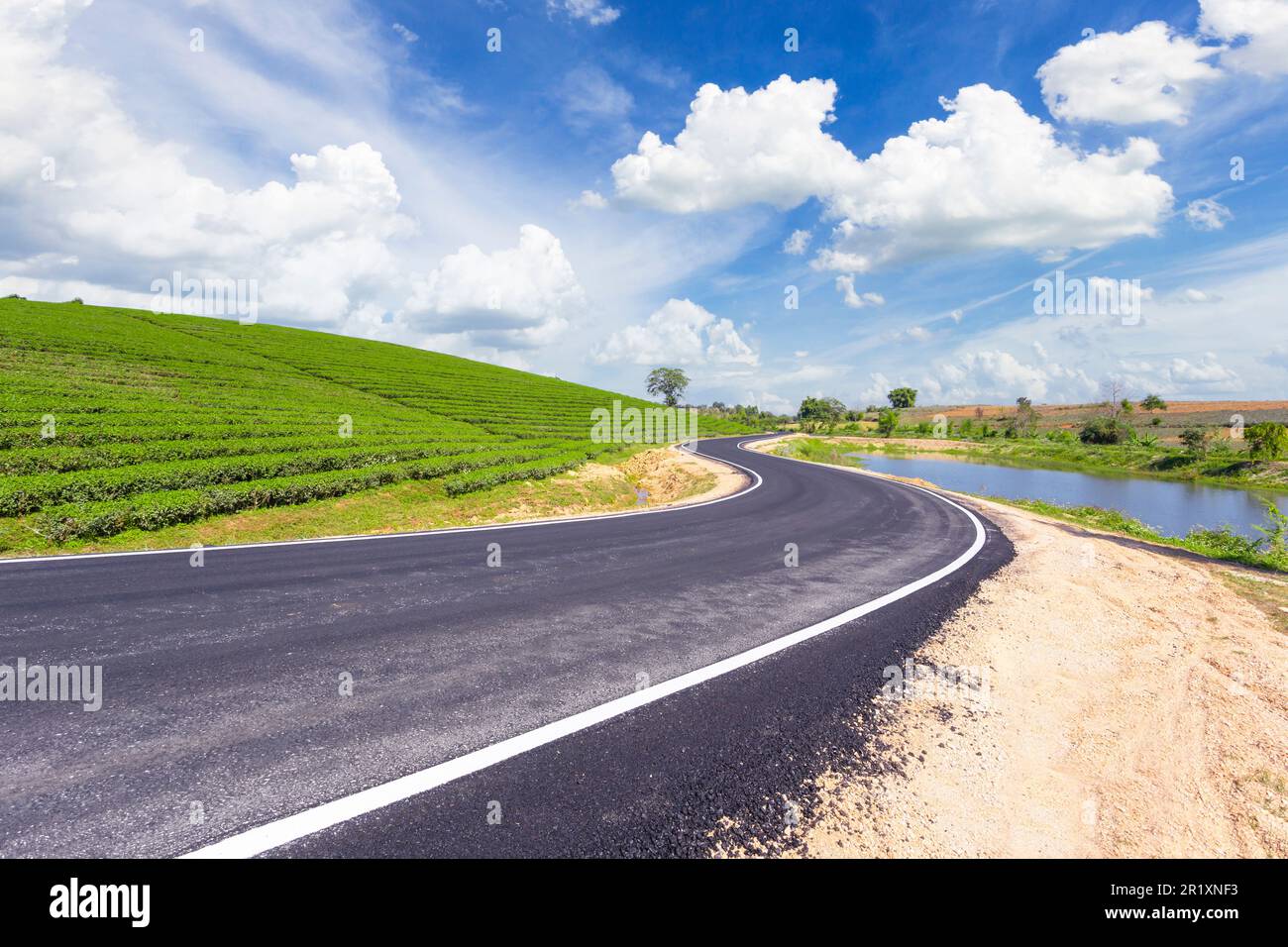 Choui Fong tea plantation and road with blue sky at Mae jan , tourist ...