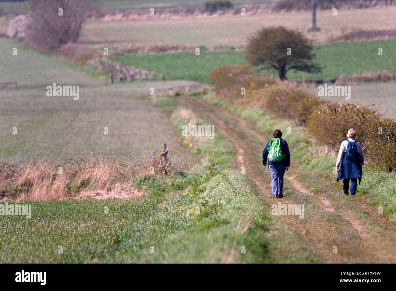 Ramblers on the Cleadon Hills walk, South Tyneside Stock Photo - Alamy