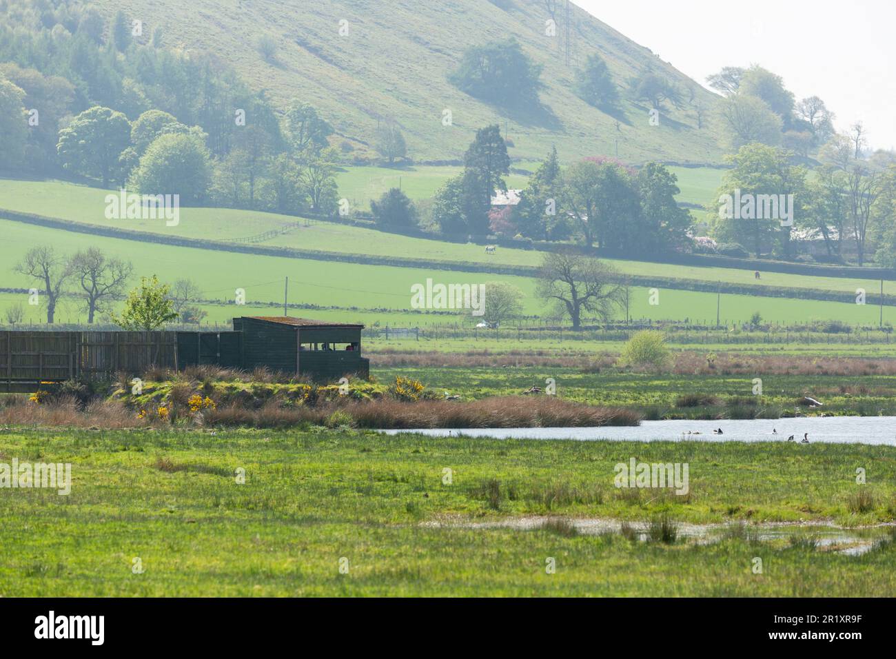 A hide at RSPB Loch Leven Nature Reserve, Perthshire & Kinross ...