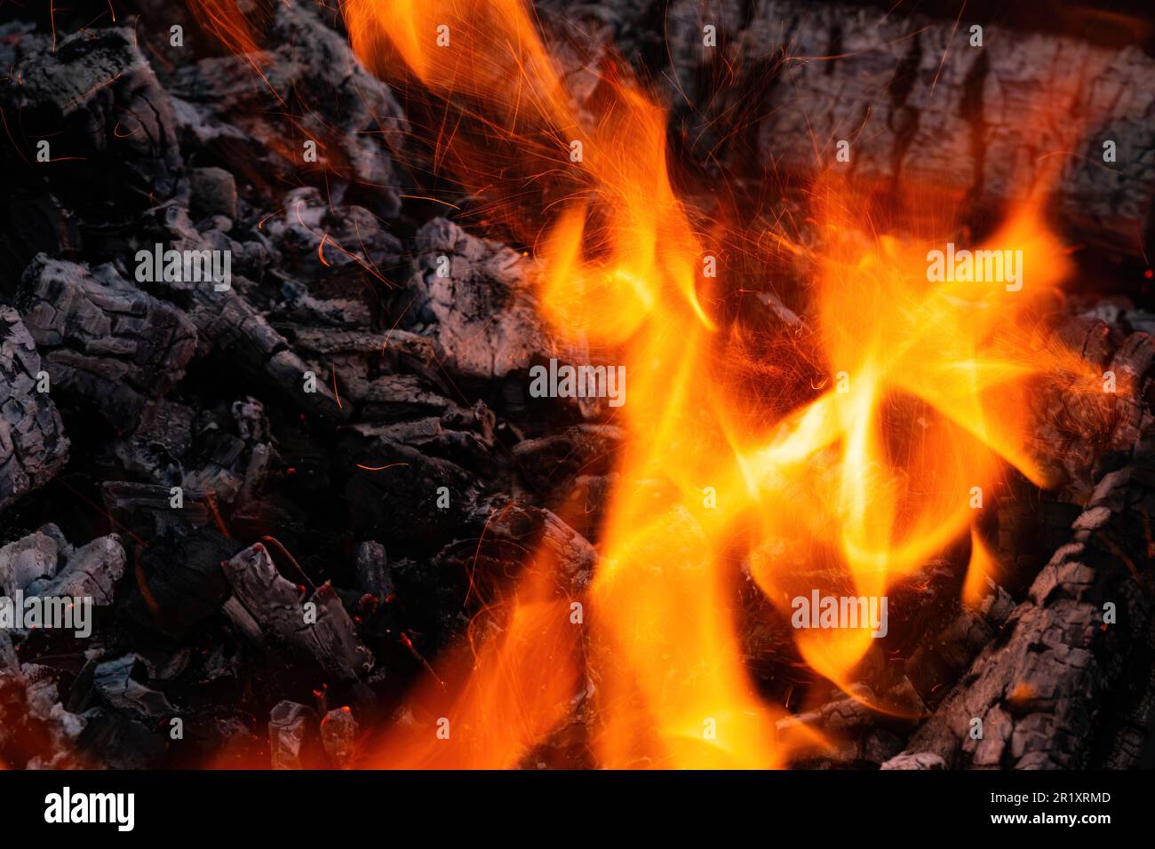 Burning fire flames with fiery sparks and charred firewood. Natural ...