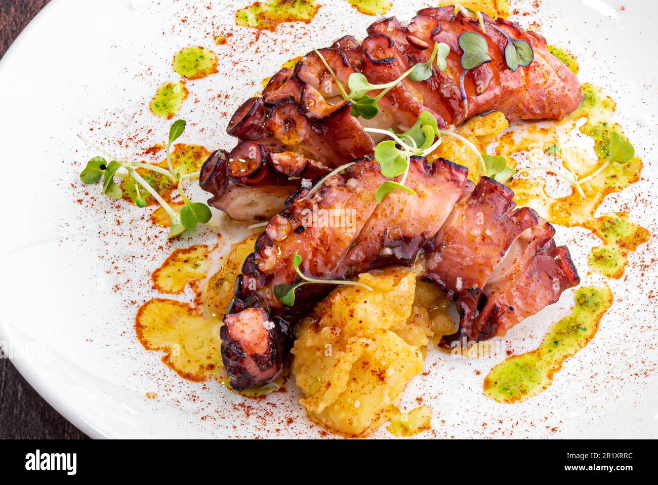 Octopods are an order of octopodiform cephalopod molluscs commonly ...