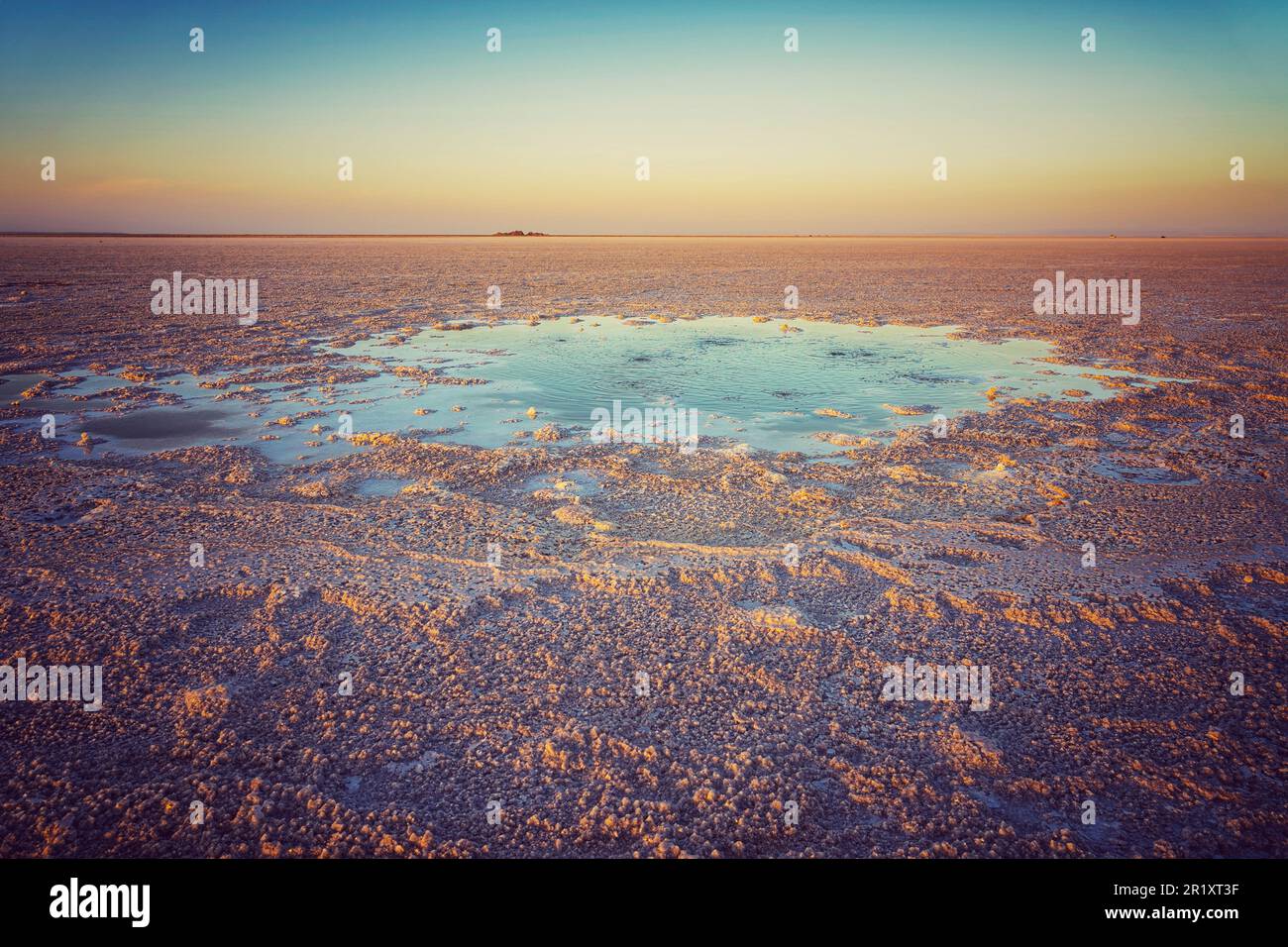 Bubbling pond in the salt plains of Asale Lake, Danakil Stock Photo - Alamy