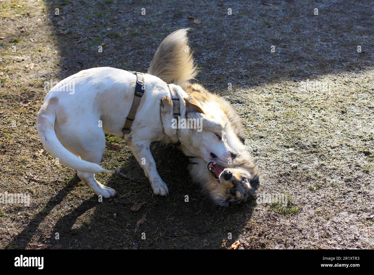 Spontaneous manner hi-res stock photography and images - Alamy