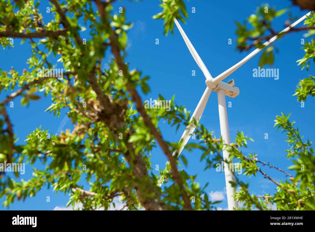 Wind turbine generator for clean electrical energy production and ...