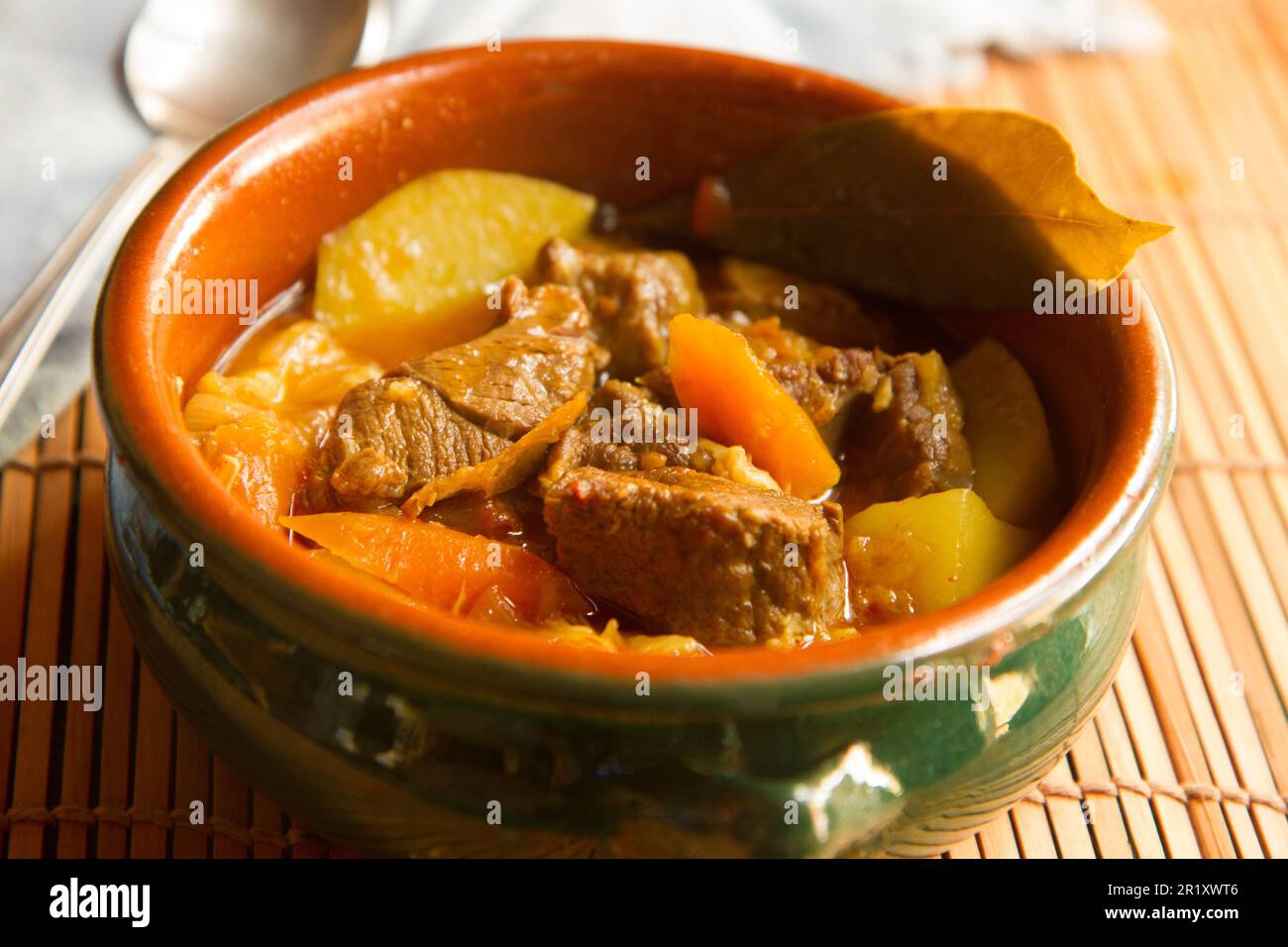 Stewed beef with potatoes and vegetables. Traditional Spanish tapa ...