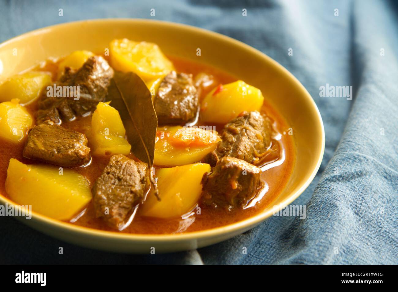 Stewed beef with potatoes and vegetables. Traditional Spanish tapa ...