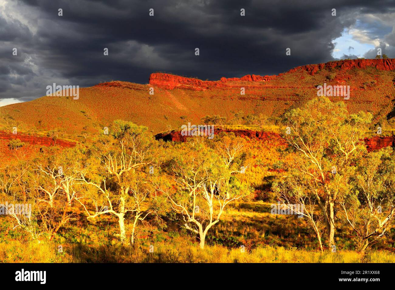 Storm over outback australia hi-res stock photography and images - Alamy