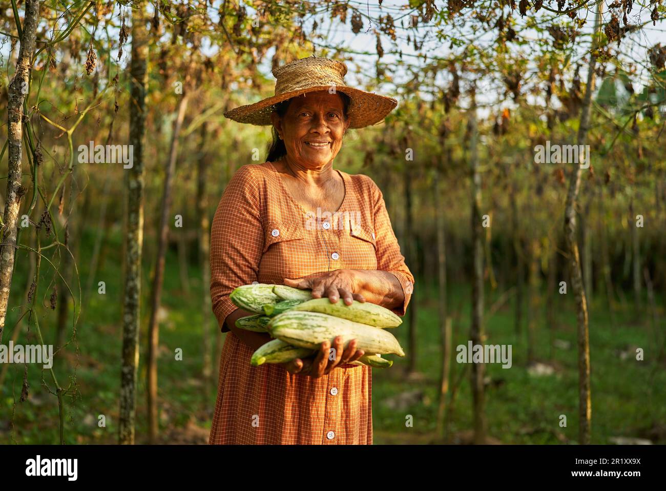 Elderly happy Indian female farmer in straw hat holding her harvested ...