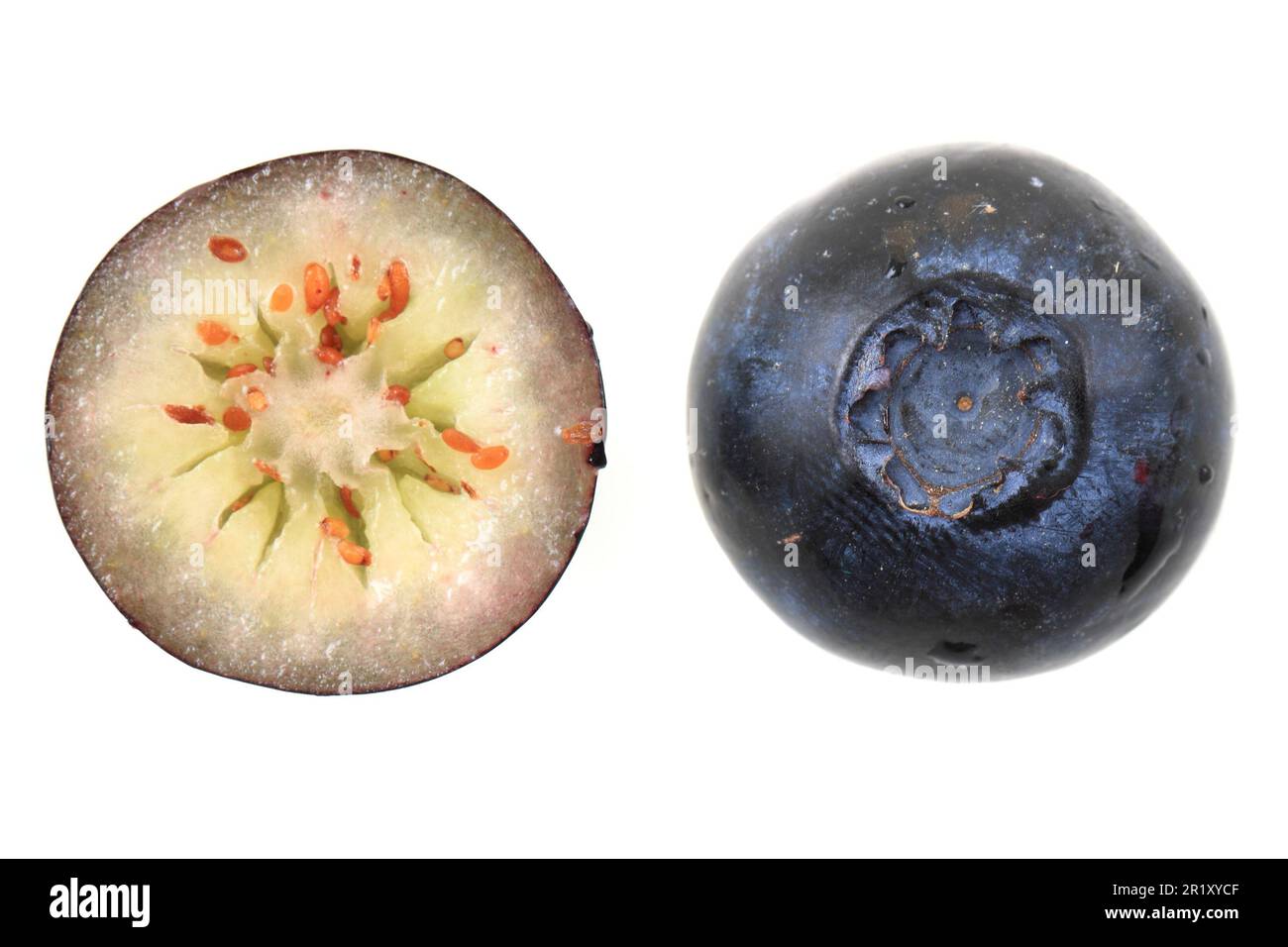 detail of blueberry isolated on the white background Stock Photo - Alamy