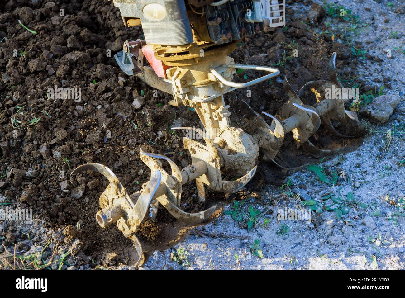 This farmer is plowing ground with tiller block using motor cultivator ...