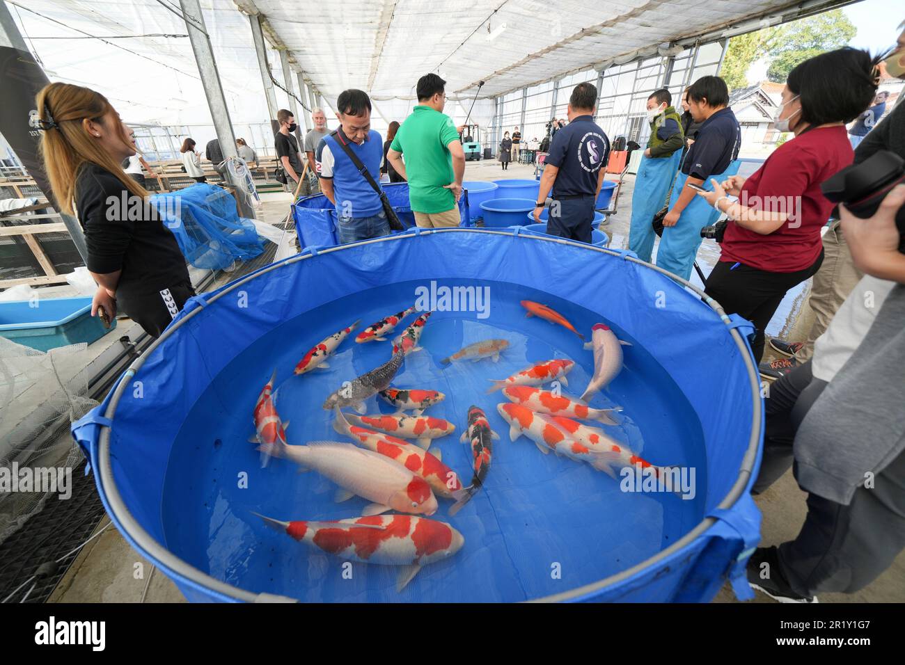 IMAGE DISTRIBUTED FOR HIROSHIMA TOURISM ASSOCIATION - Buyers from ...