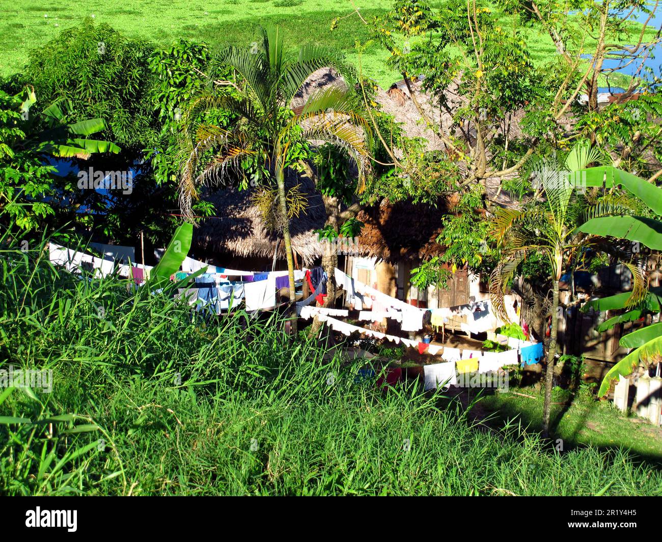 The view of amazon river in Iquitos, Peru Stock Photo - Alamy