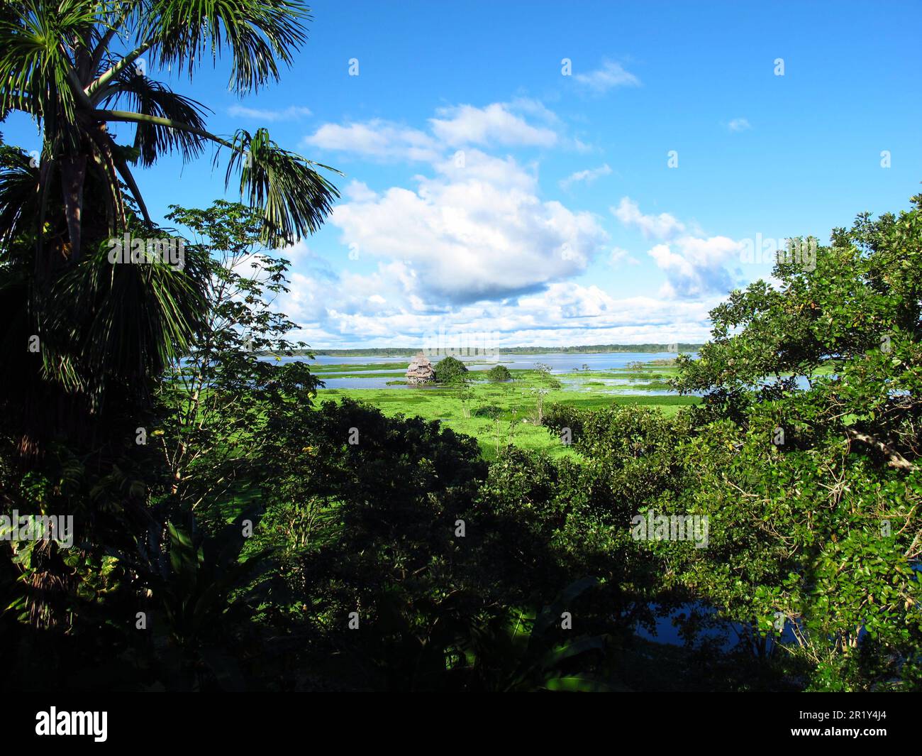 The view of amazon river in Iquitos, Peru Stock Photo - Alamy