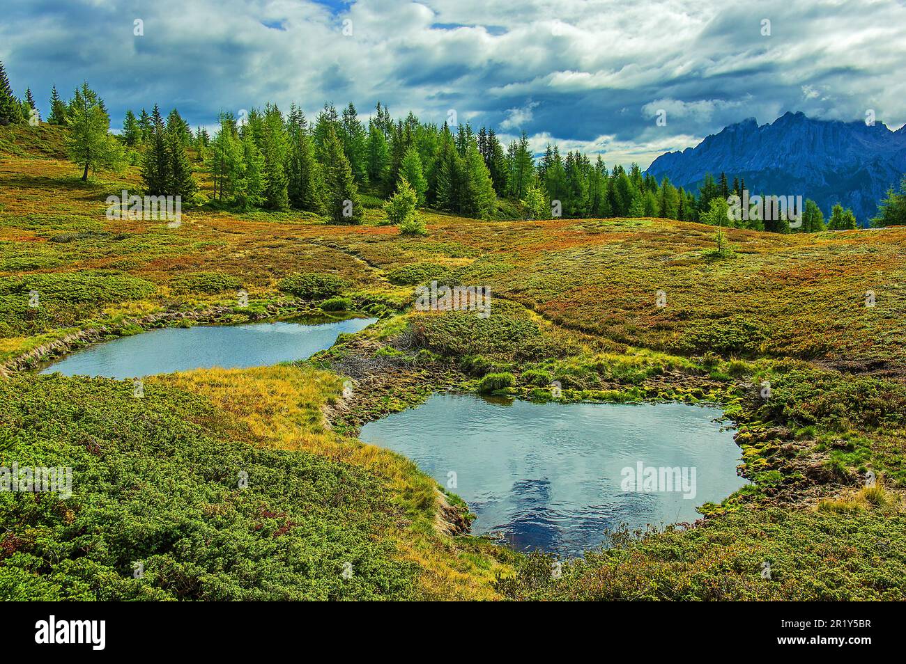 Upland moor with tiny moor lakes at the "Pustertaler Almweg" near ...