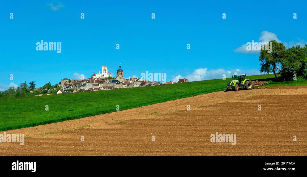 Vezelay labelled les Plus Beaux Villages de France. Unesco World ...