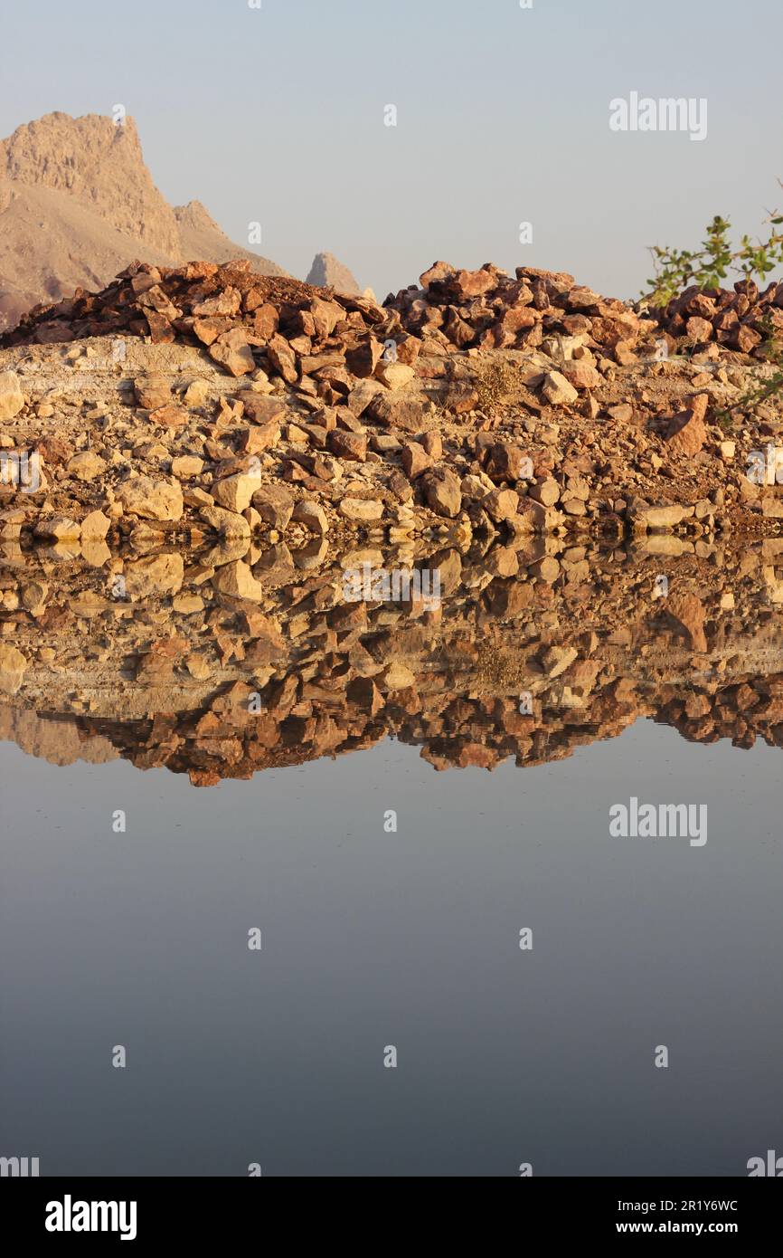 Oman shoots hi-res stock photography and images - Alamy