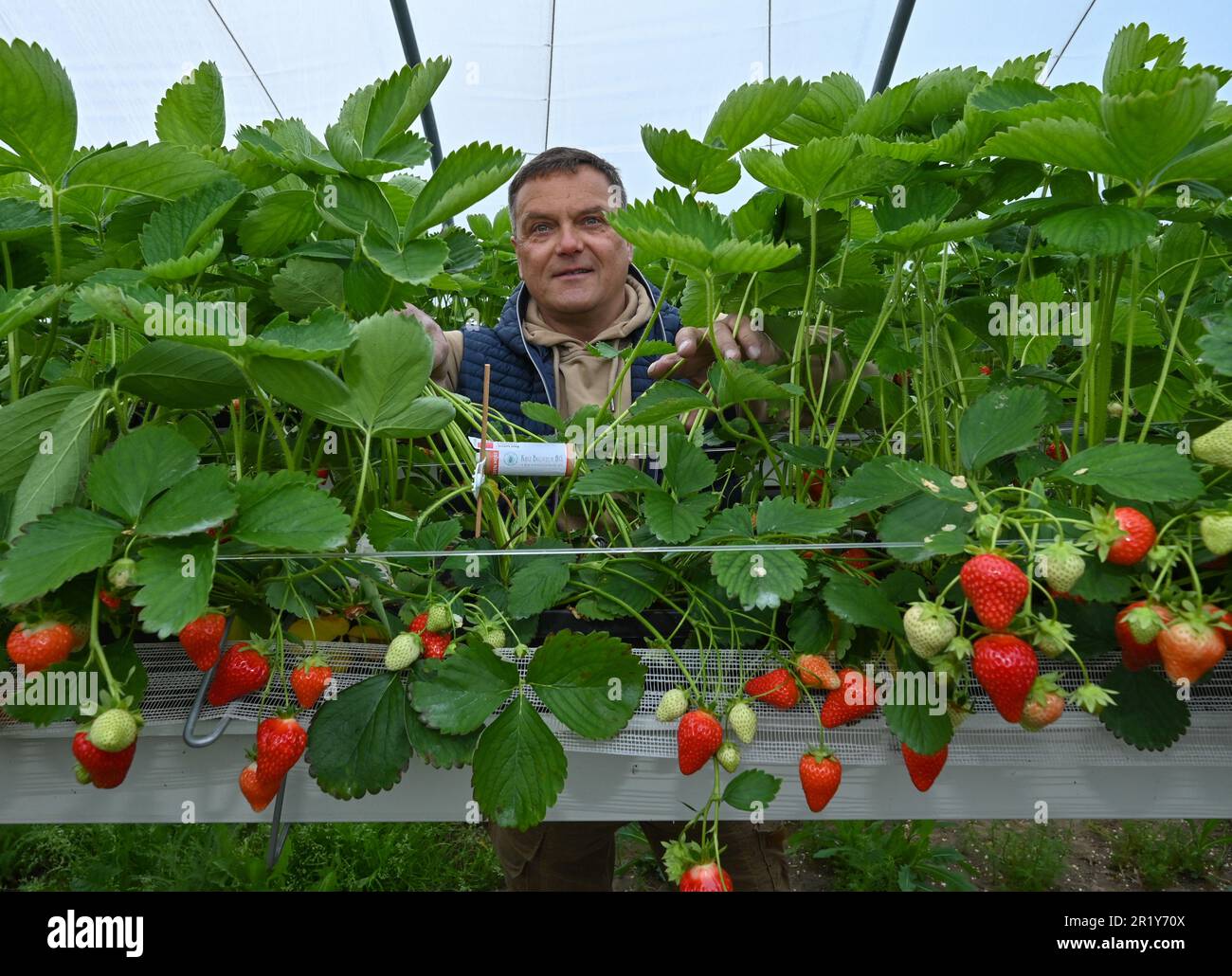 Staggered manner hi-res stock photography and images - Alamy