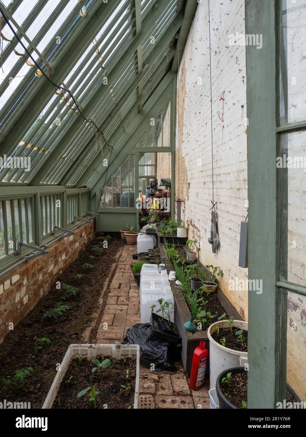 Interior view of a long tall lean-to greenhouse in the Walled Garden ...