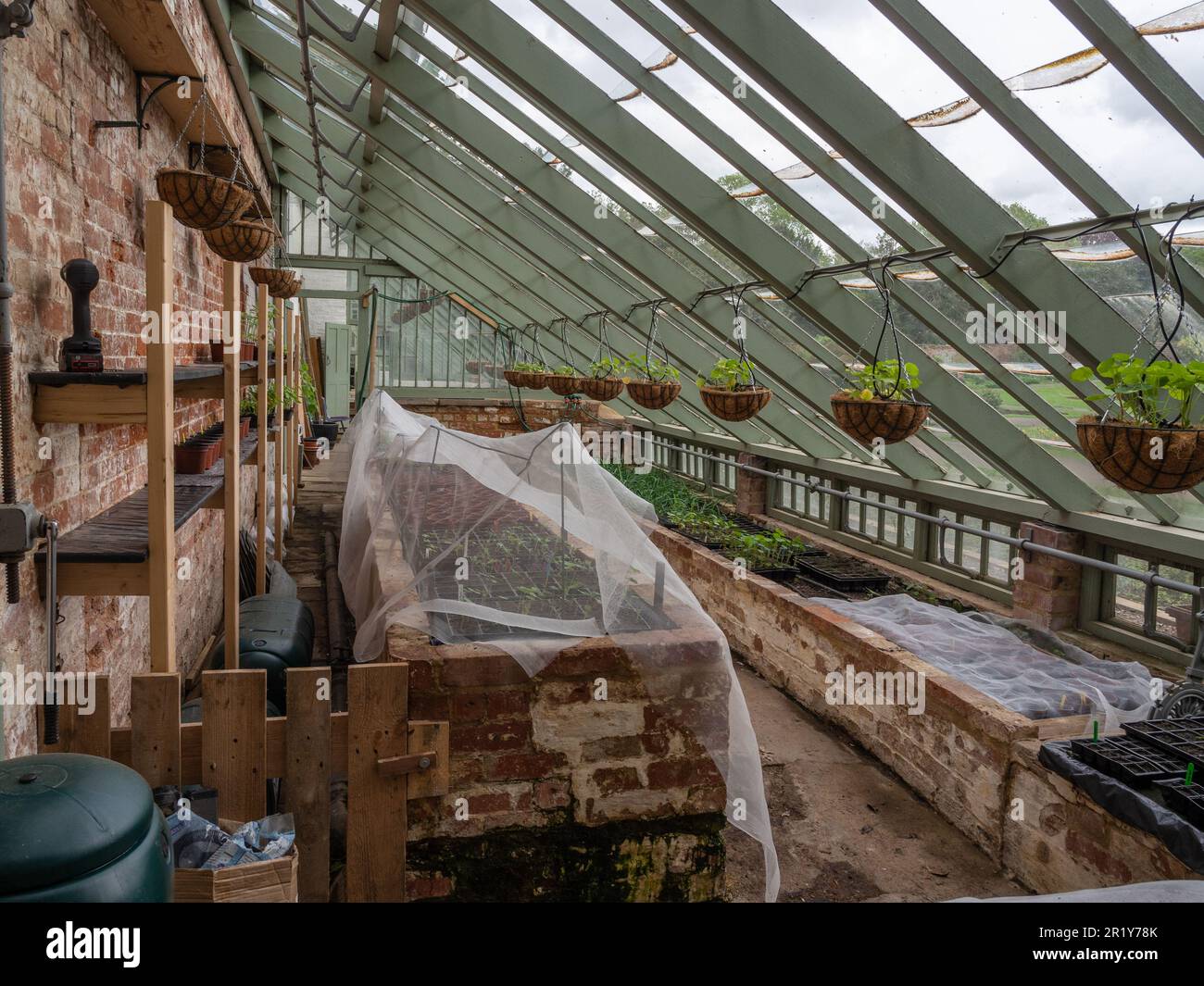 Interior view of a long tall lean-to greenhouse in the Walled Garden ...