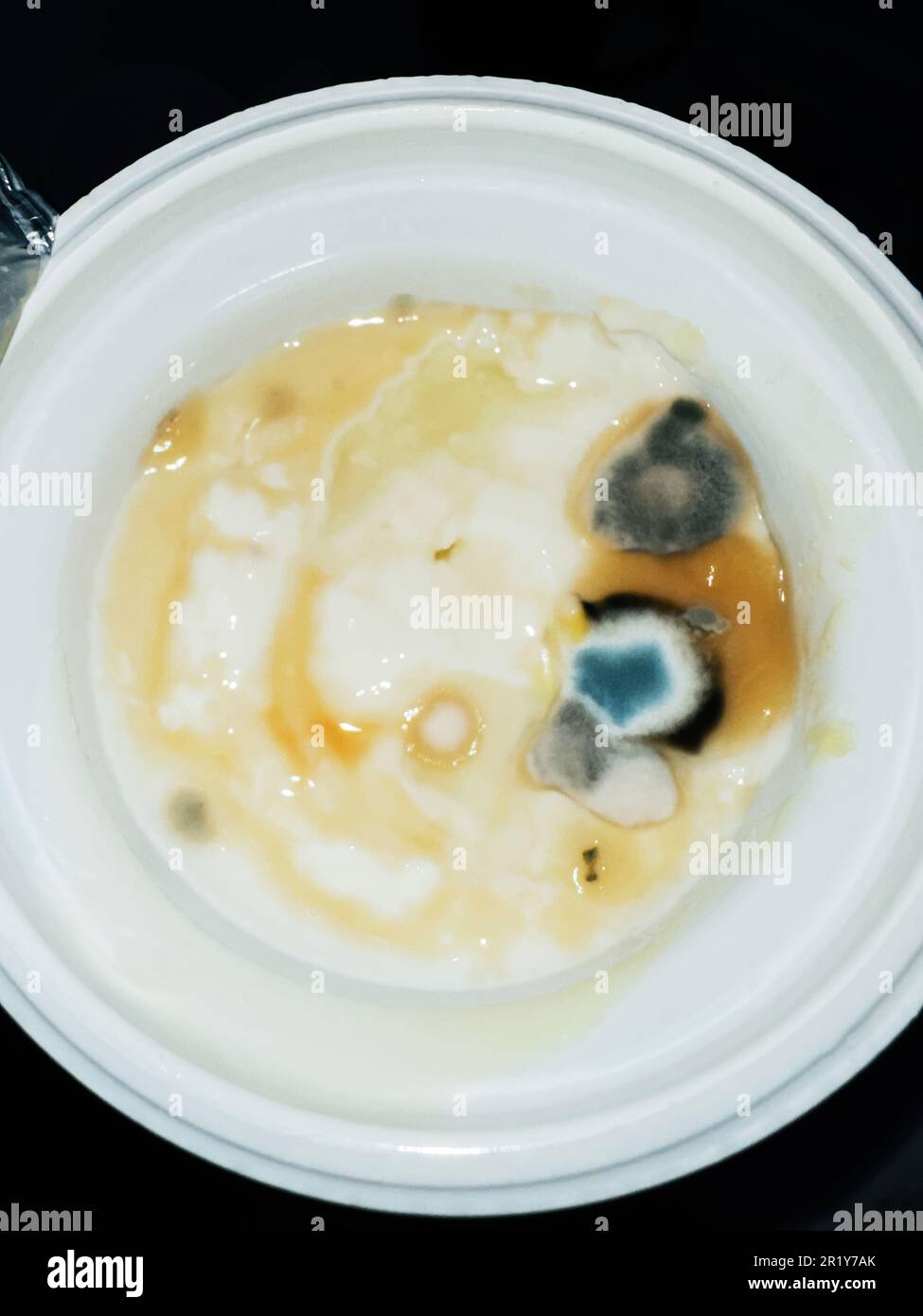 An old dish of yogurt sits on a black background, its contents ...