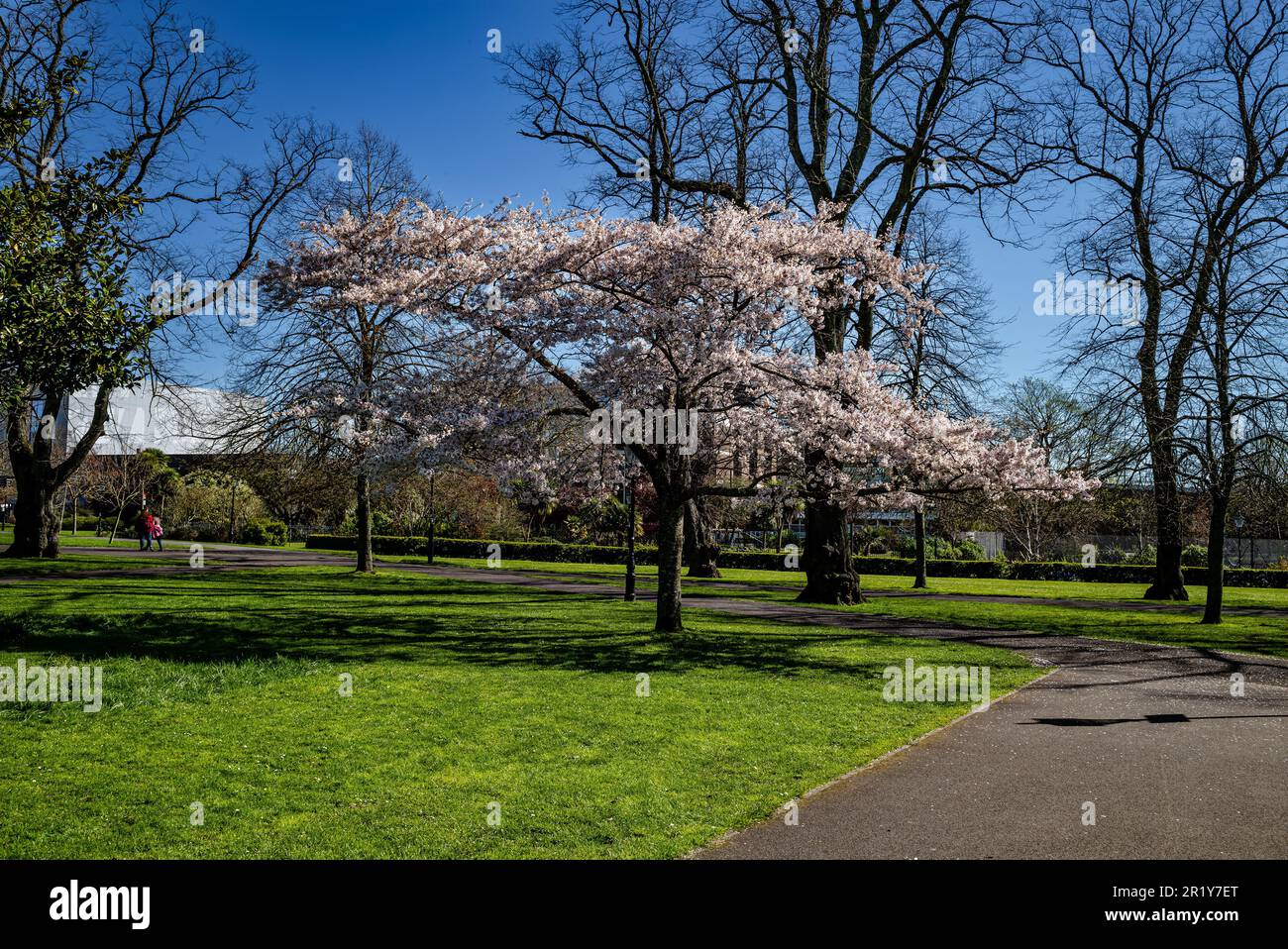 Southampton city centre park hi-res stock photography and images - Alamy