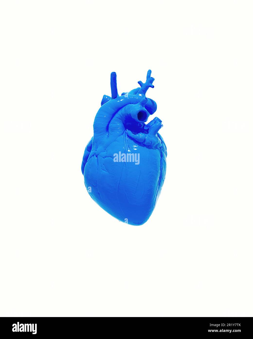 Human heart diagram hi-res stock photography and images - Alamy