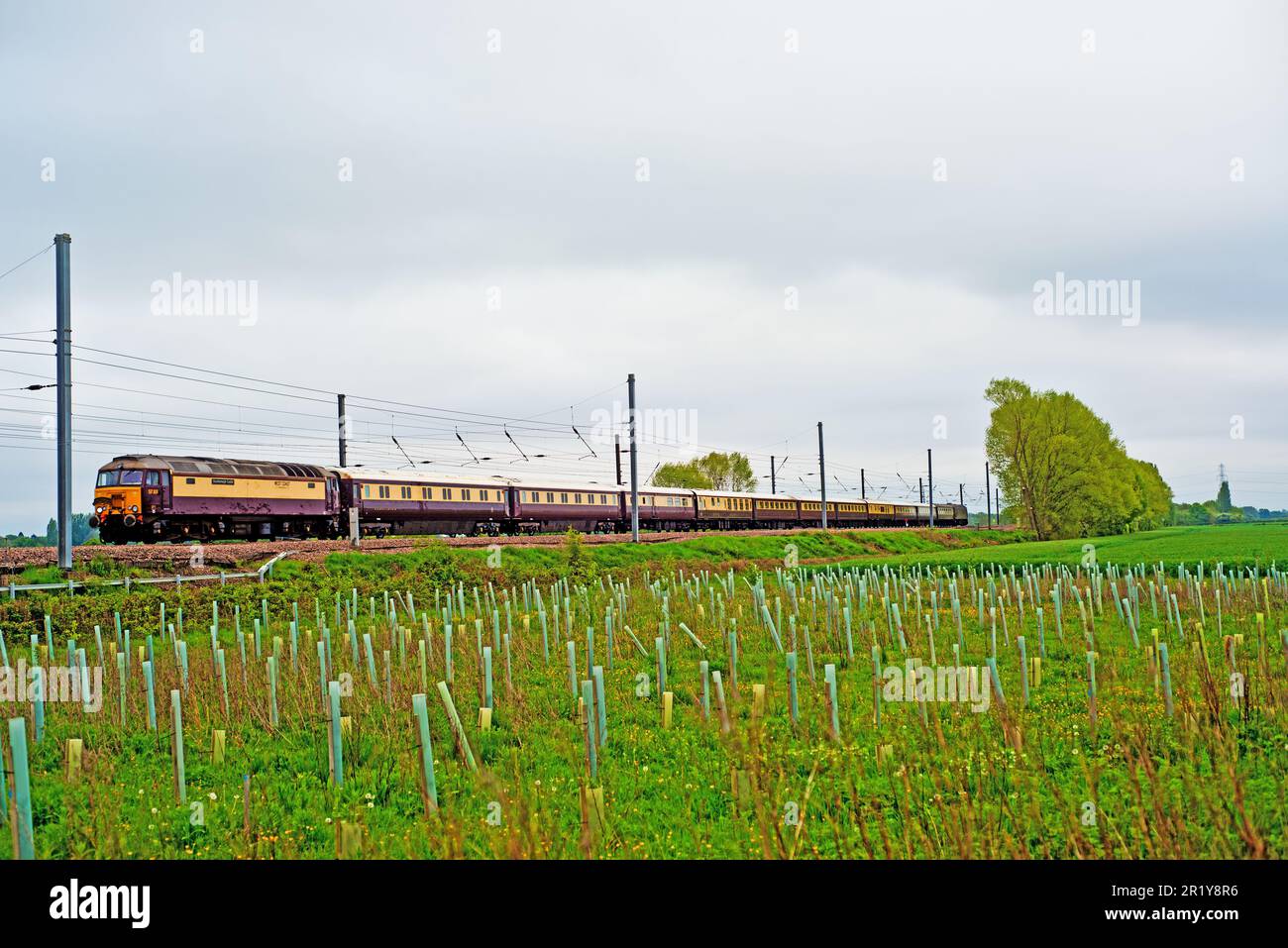 Class 57313 Scarborough Castle on the northern Bell Pullman at Shipton ...