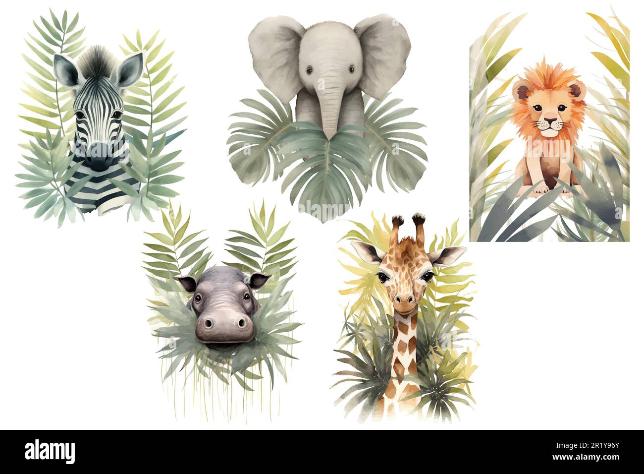 Zebra plant flower Stock Vector Images - Alamy