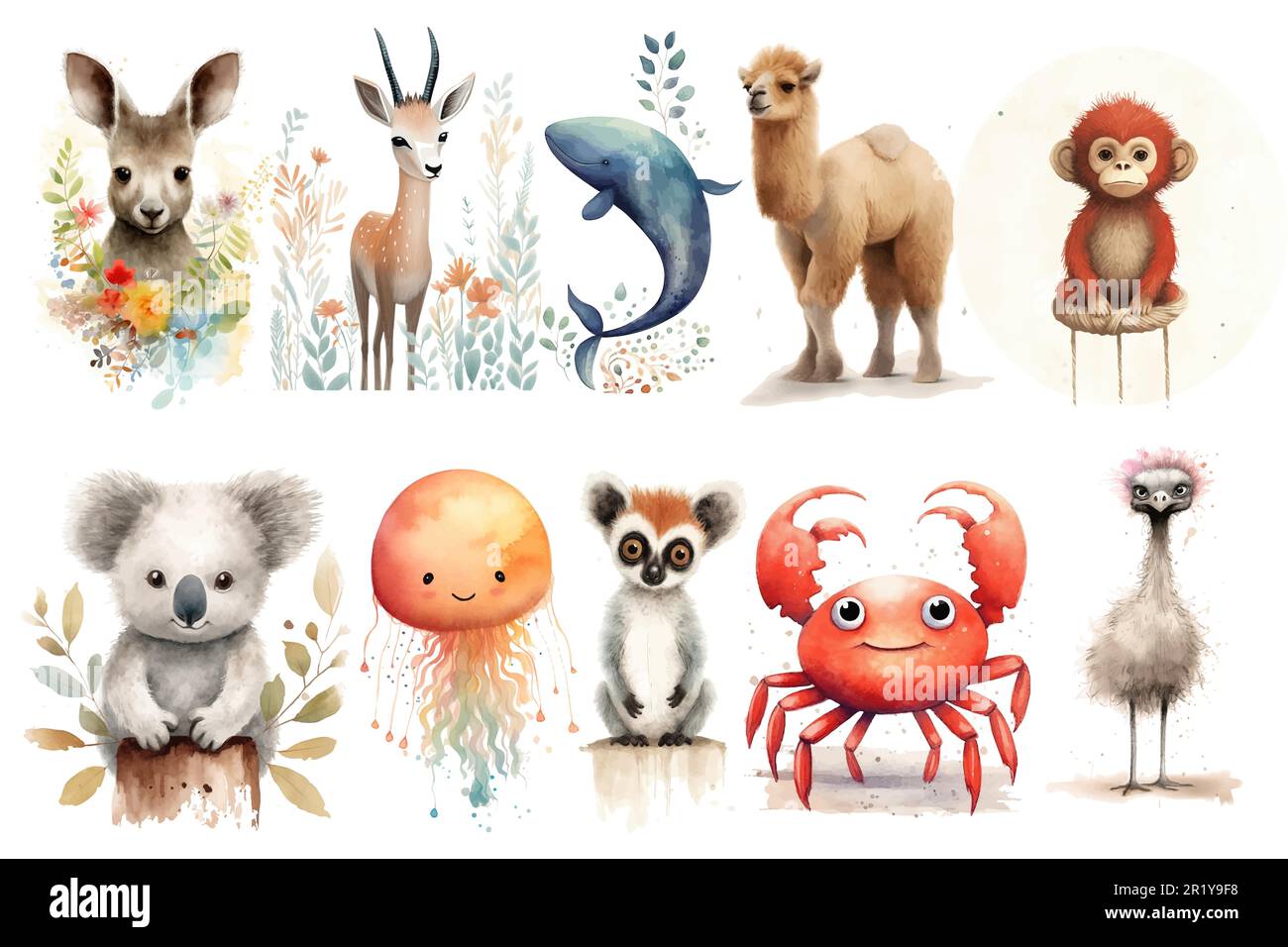 Watercolor australian animals Stock Vector Images - Alamy