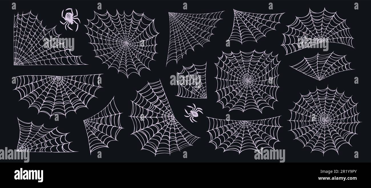 Spider and web set. Concept Halloween decoration design. Cobweb ...