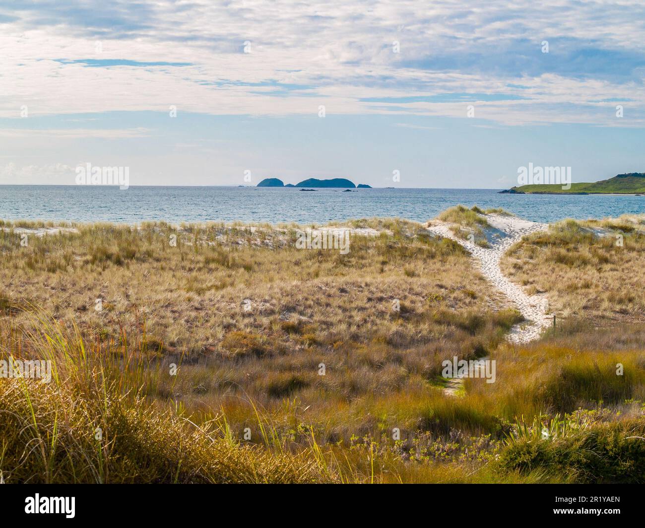 Sand track leading through beach vegetation and dune to water at ...