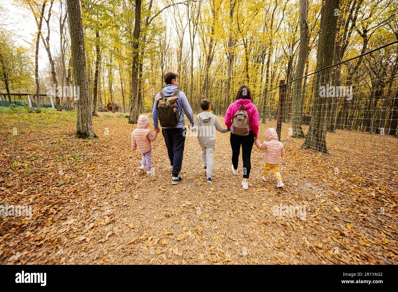 Back of family with kids on a walk in autumn forest Stock Photo - Alamy