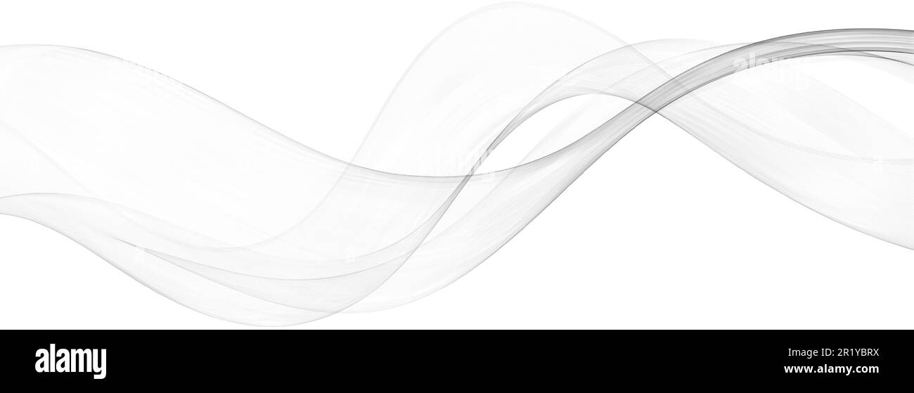 Transparent wavy lines on a white background.Abstract waves background ...