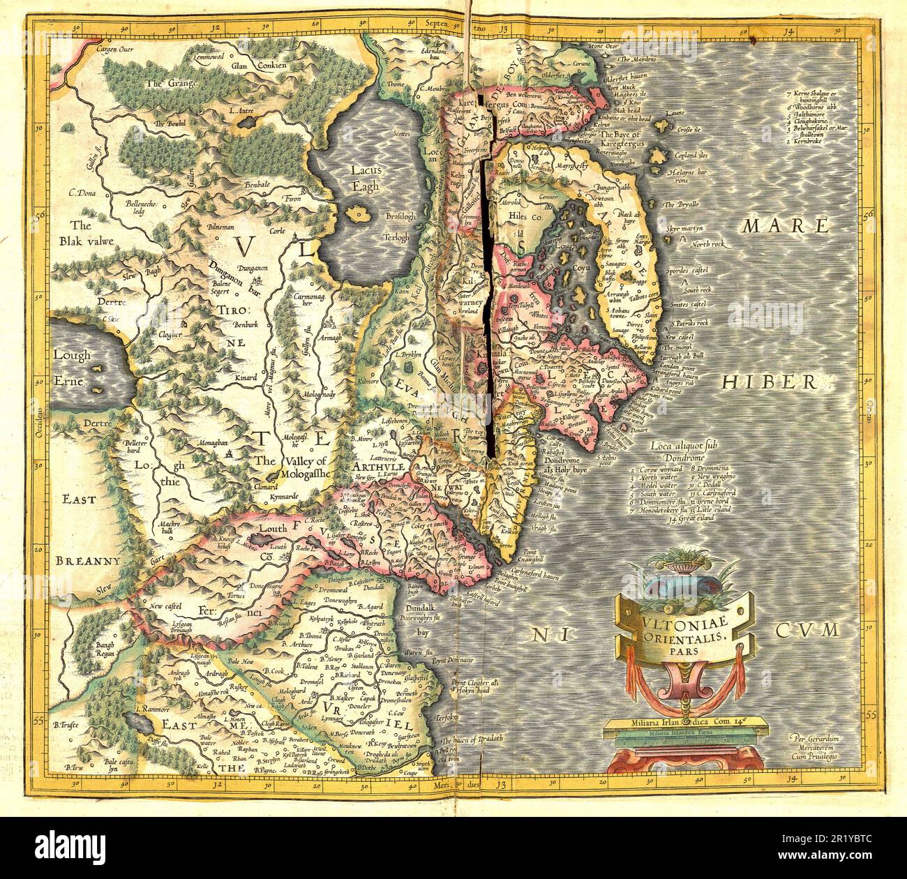 Born 2 die hi-res stock photography and images - Alamy