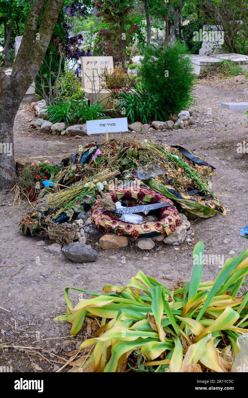 Fresh newly dug grave of Meir Shalev at Nahalal Cemetery, Meir Shalev ...