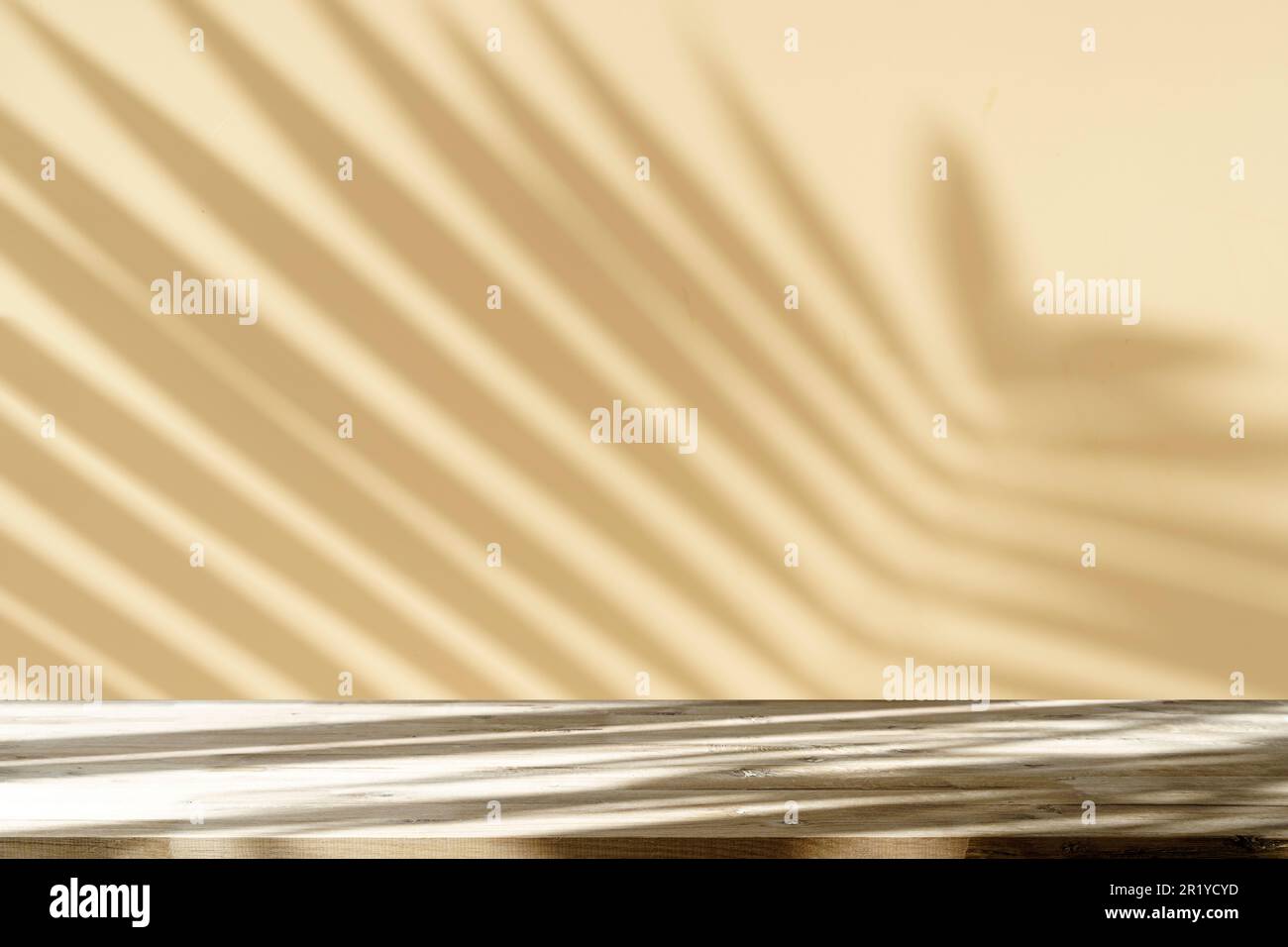 Table shadow background. Wooden table and white empty wall with plant ...