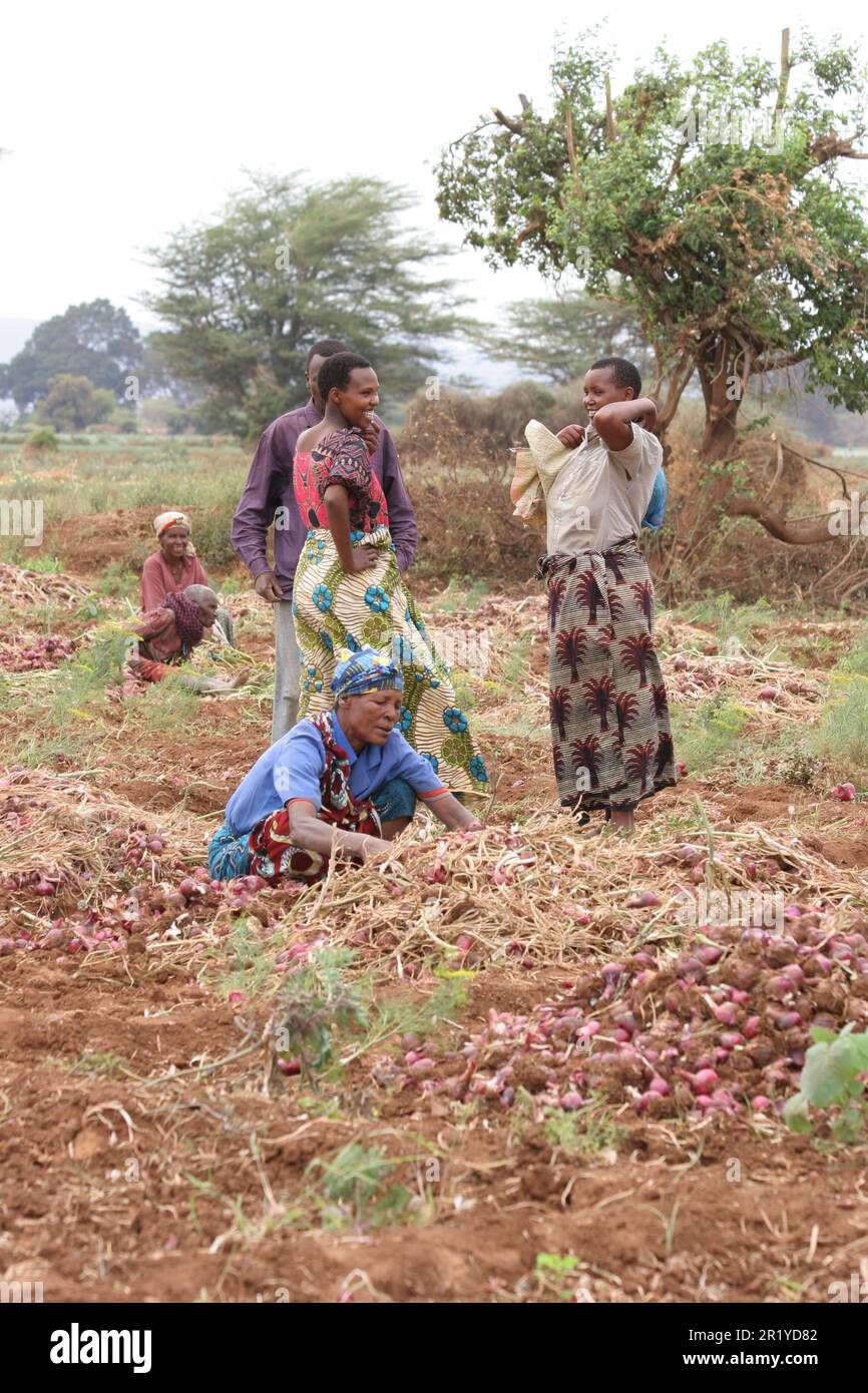 Native farming methods hi-res stock photography and images - Alamy