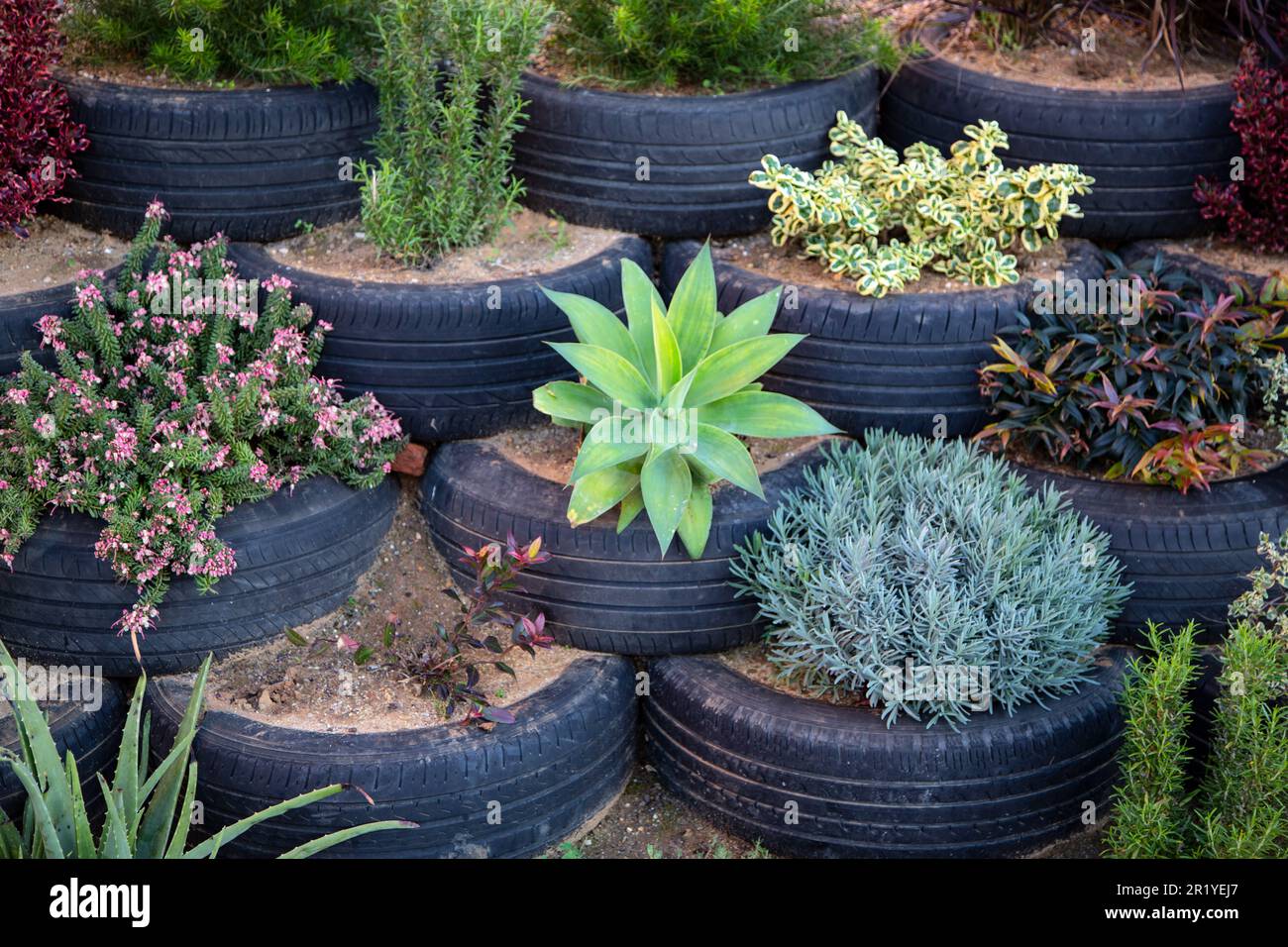 Garden with old tires used as flower pots Stock Photo - Alamy