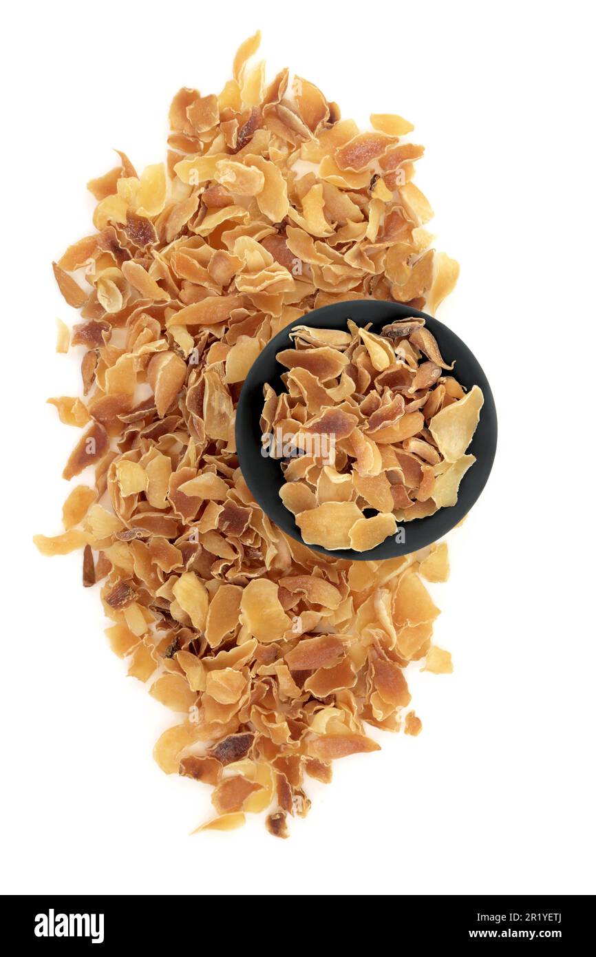 Dried lily bulb hi-res stock photography and images - Alamy